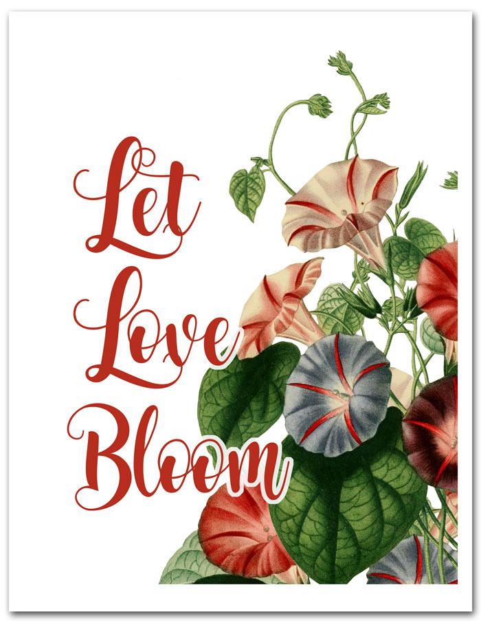 i should be mopping the floor: Email Exclusive: Let Love Bloom