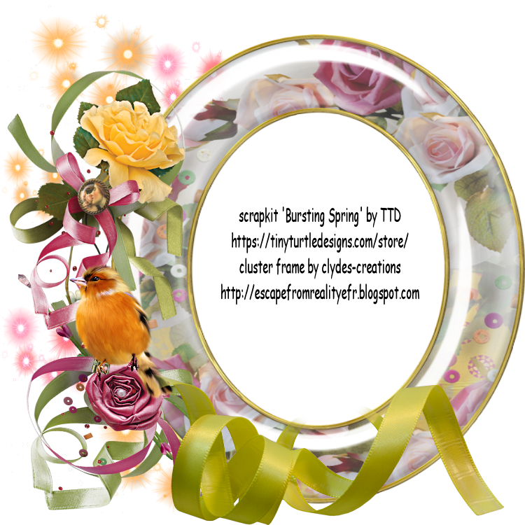 Escape From Reality Blog: FTU 'Bursting Spring' Cluster Frames TTD