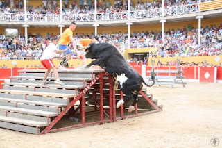Un Diario para Caminantes: EL TORO "RATON"