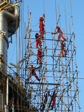 JENIS-JENIS PERANCAH