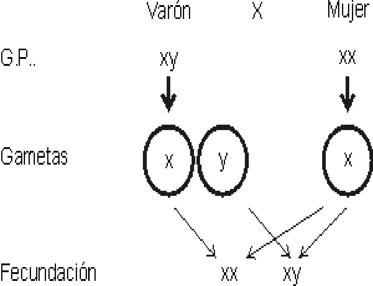 BIOLOGÍA GENERAL: mayo 2012