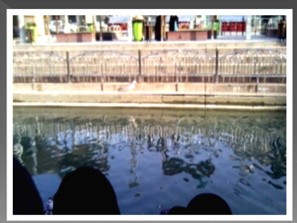 ziarat of Iraq: Nahr al Furat/ Euphrates River (Karbala- Iraq)