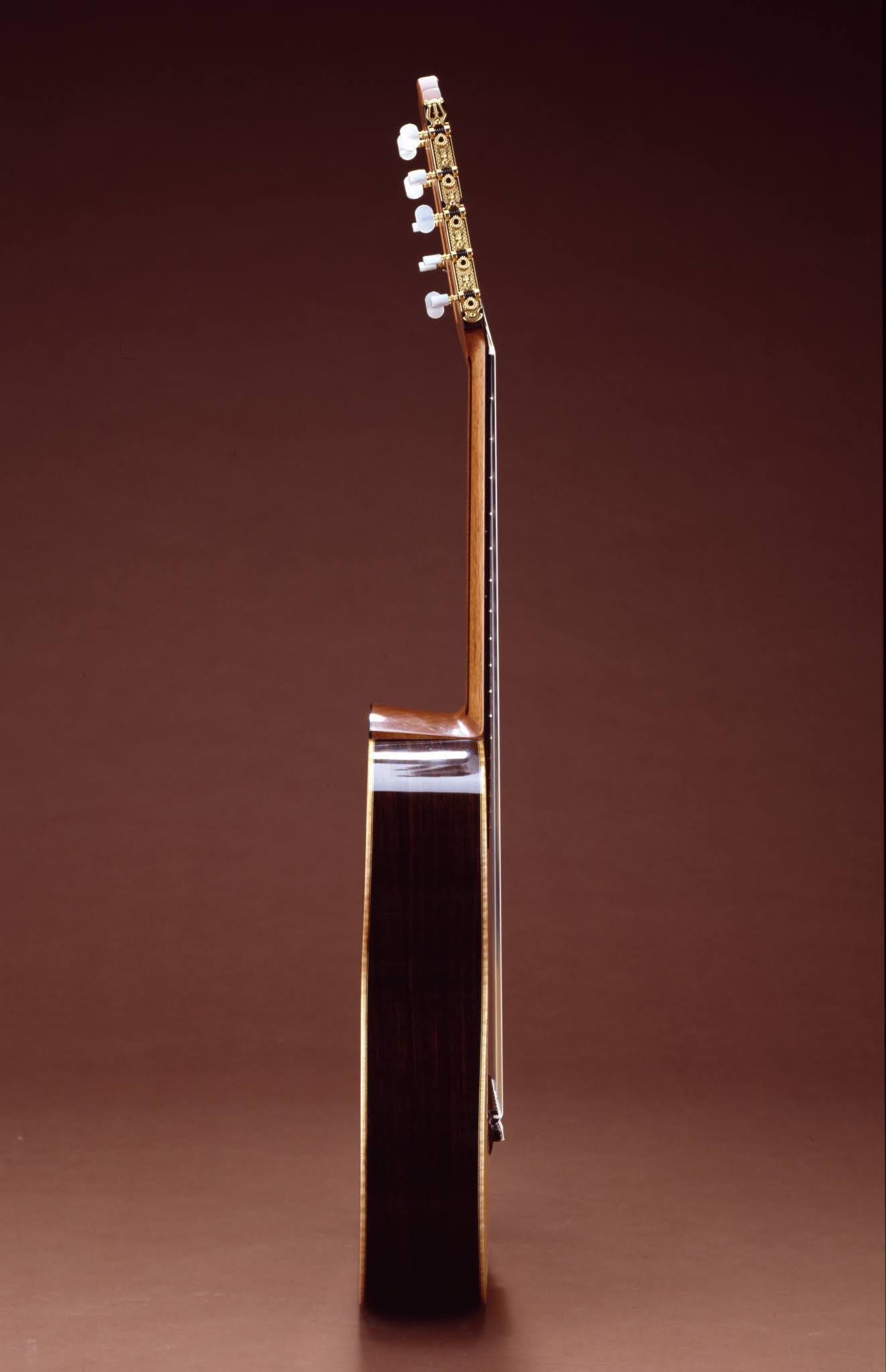 Guitarras custom construídas por Rodolfo Cucculelli, Luthier: 10-String ...