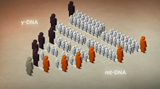 Your Genetic Genealogist: "Finding Your Roots with Henry Louis Gates ...