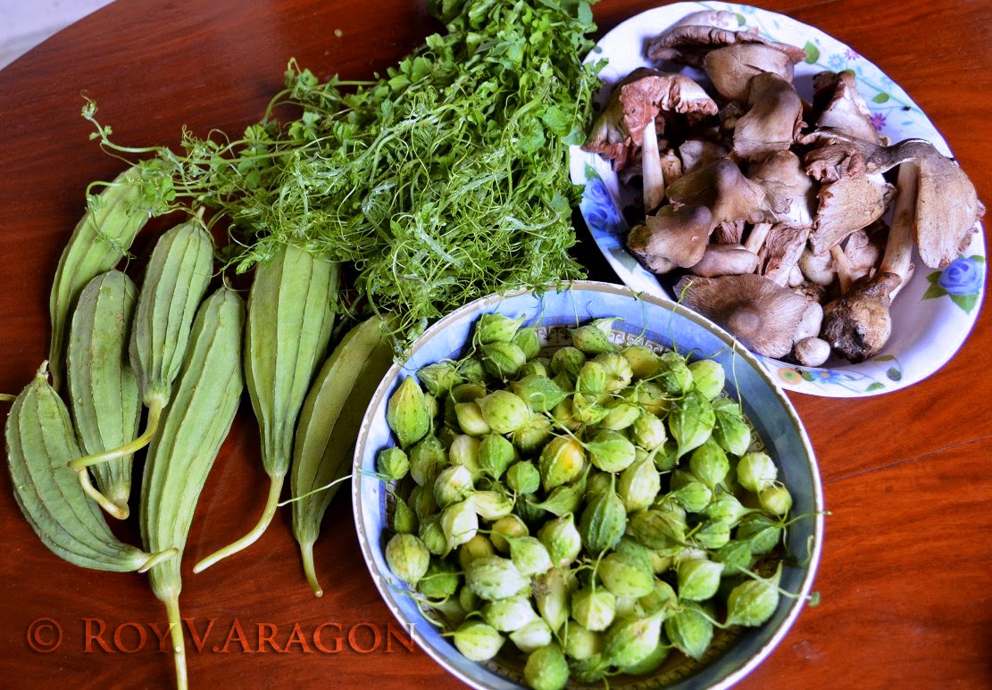 exotic food recipes & other gastronomic delights: straw mushrooms soup ...