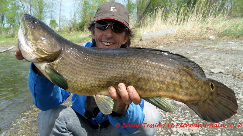 Le Pêcheur Urbain avec Bruno Tessier: Techniques de pêche au poisson ...