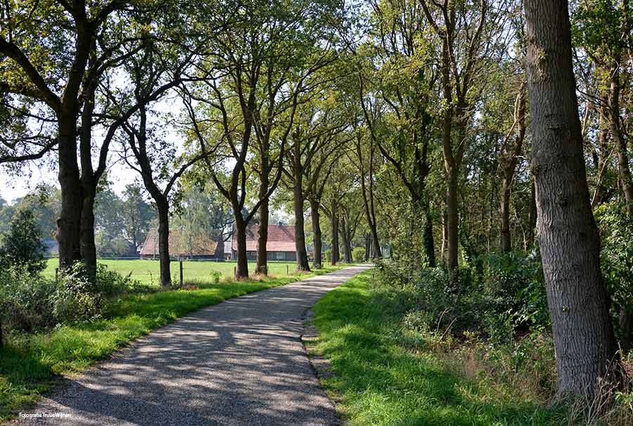 Wandel-, Fiets- en FotografieWeblog: Fietsroute Zenderen - Bavinkel ...