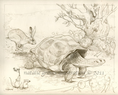 Meadow to Grove: The Tortoise and the Hare