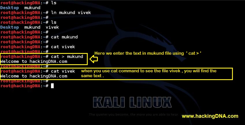 Shell Scripting On Kali Linux - HackingDNA Shell Scripting On Kali Linux - HackingDNA