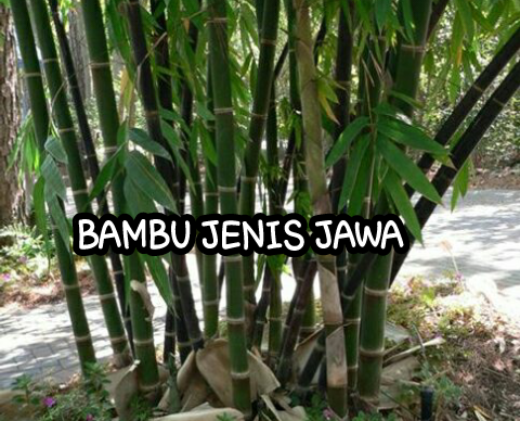 Kerajinan bambu di mojokerto jawa timur tukubagus