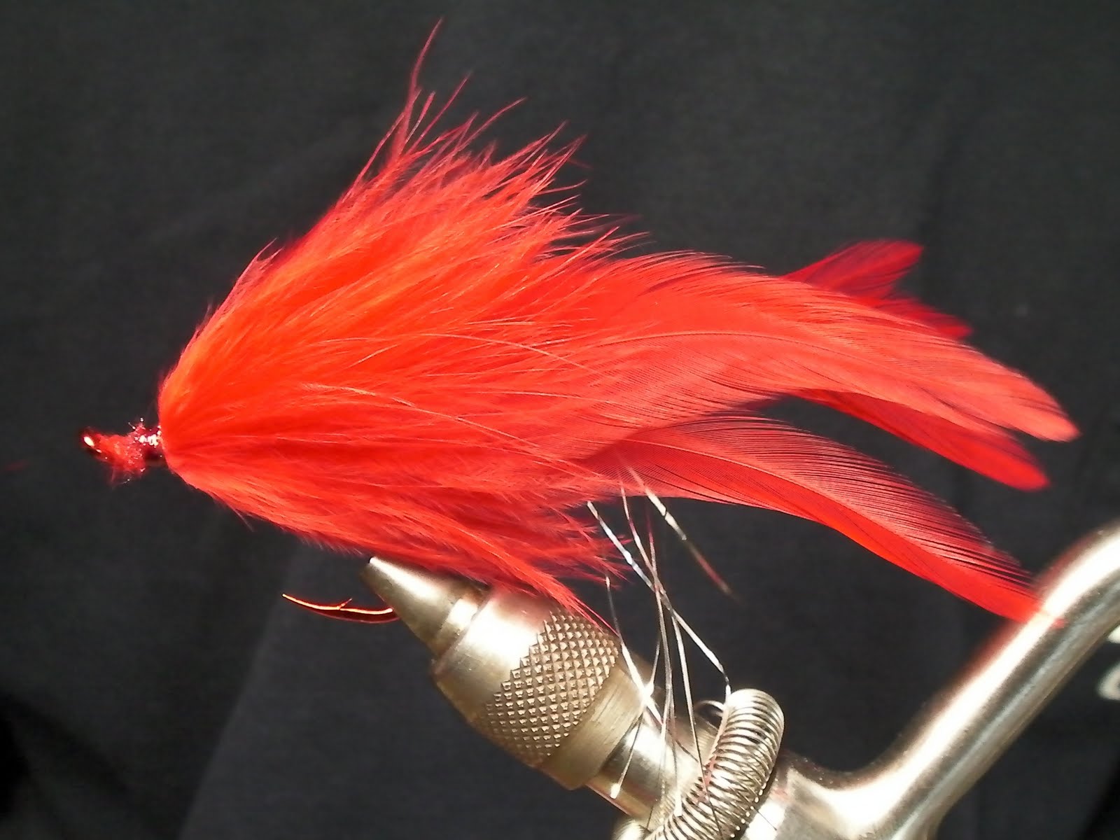 Fly Tying Videos: How to Tie Flies for Freshwater and Saltwater: How to ...