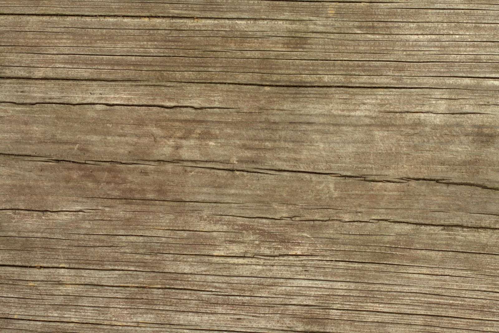 Mr-Textures: (WOOD) dry cracked bench tree bark texture Mr-Textures: (WOOD) dry cracked bench tree bark texture