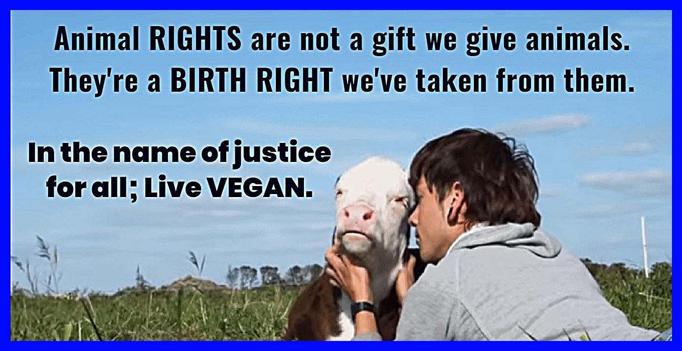VEGANISM: A TRUTH WHOSE TIME HAS COME: 100 Vegan & Animal Rights Memes ...