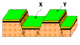 Contoh Soal Latihan UTBK Geografi Litosfer dan Pemanfaatannya - Geograph88