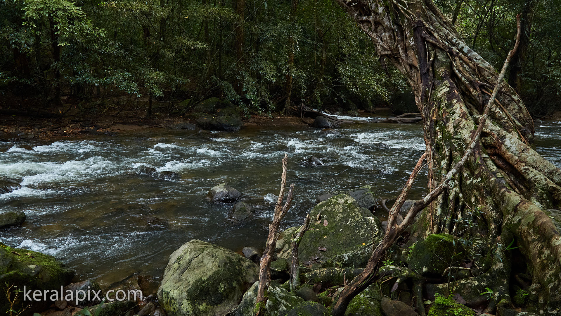 Keralapix.com: Your Ultimate Destination for Stunning Kerala Images and ...