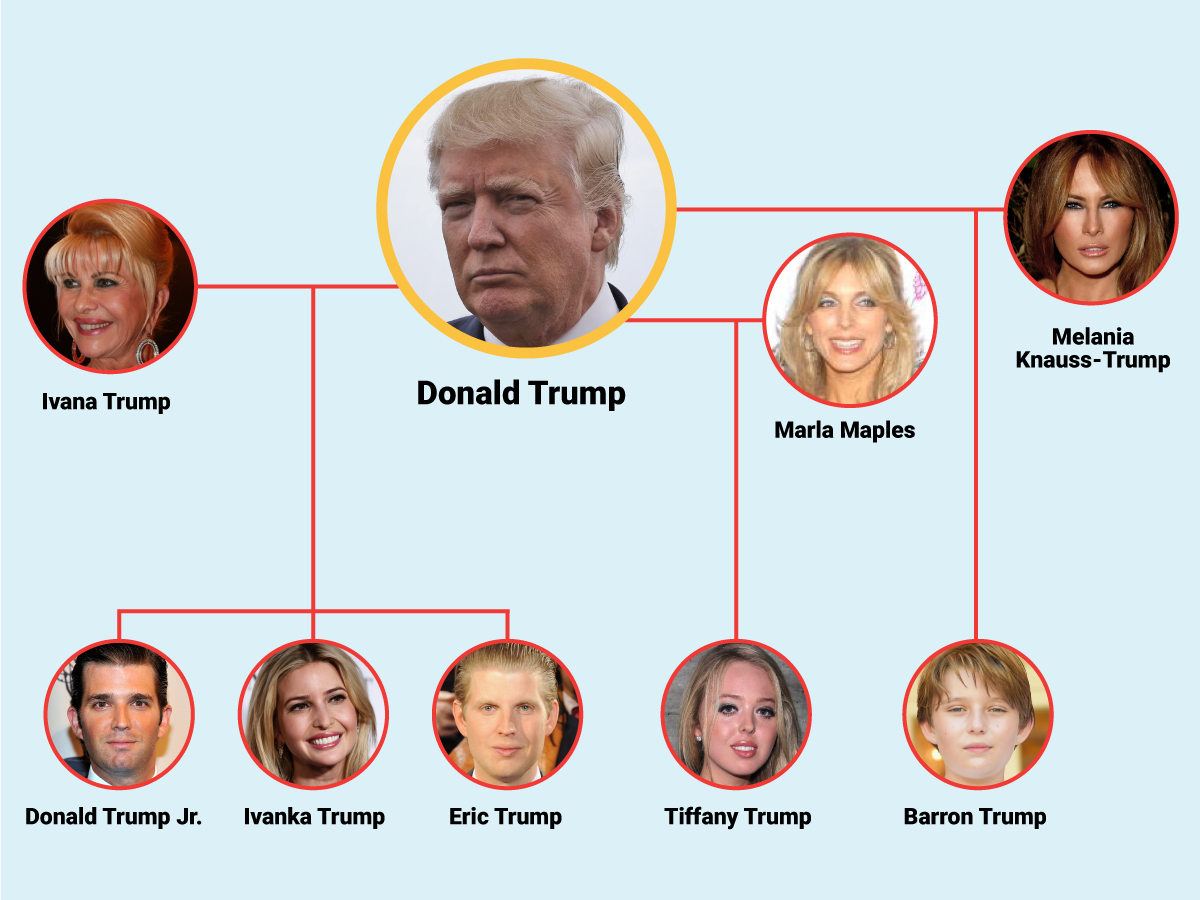 Meet the Trumps