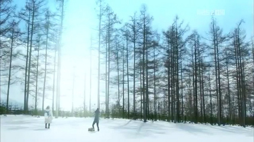 My Top 5 ... Snow Scenes