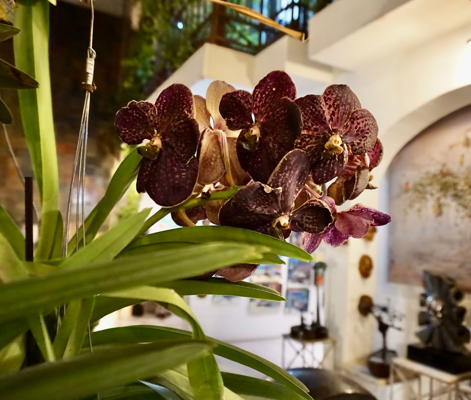 Magi and Sam: Basilio Badillo by Day and Southside Shuffle