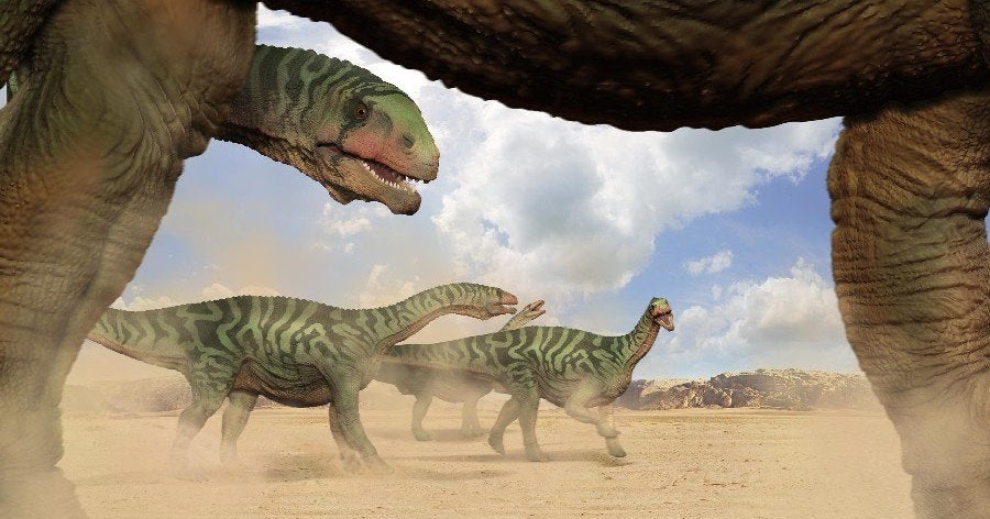 a mesozoic field guide: Isanosaurus