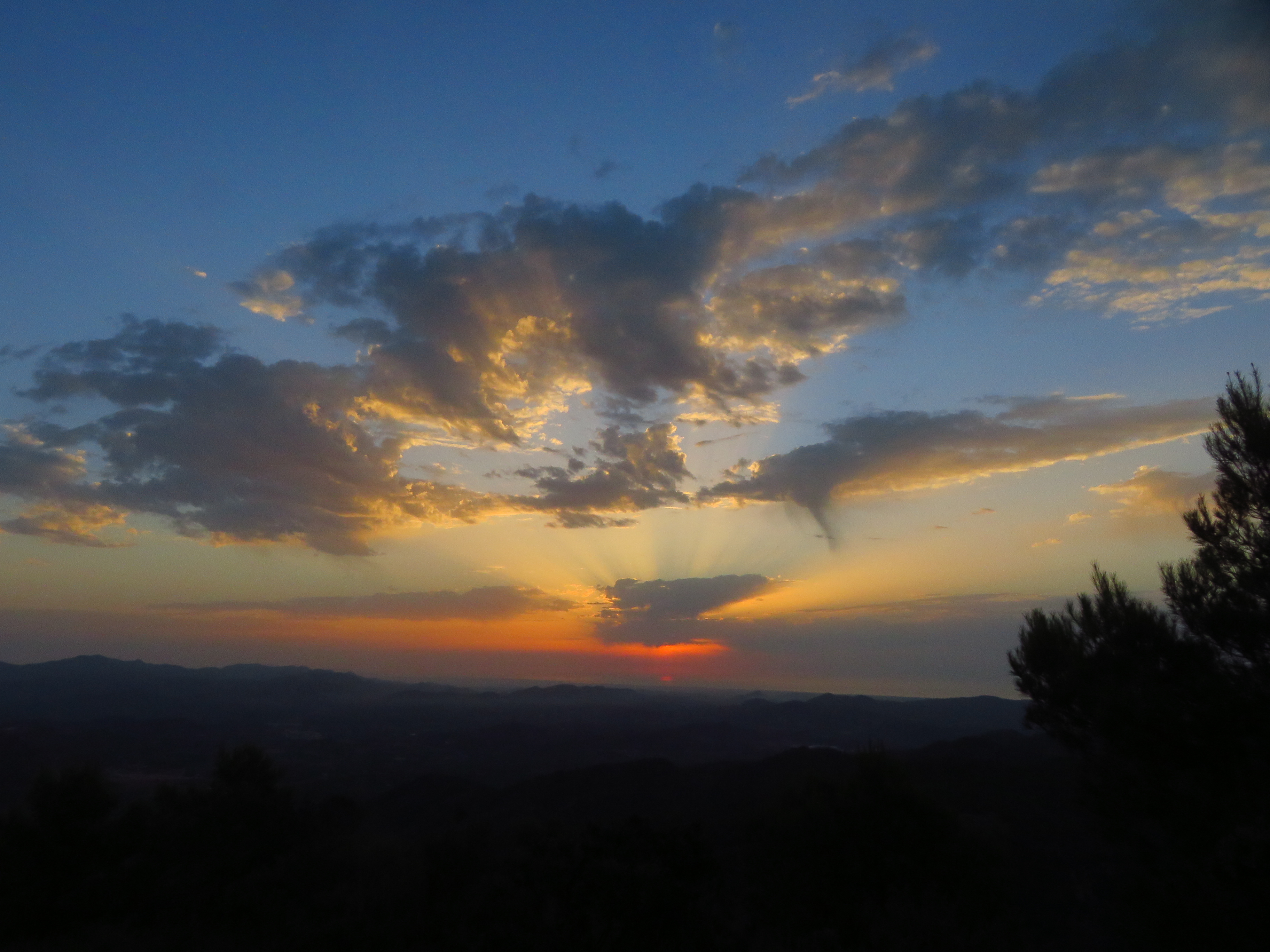 Los ecos secretos del silencio: Un amanecer de verano.