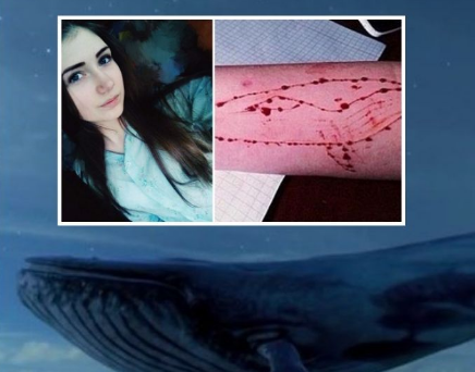 Questions & Answers on the Blue Whale Suicide Game - ZAAPS MAGAZINE