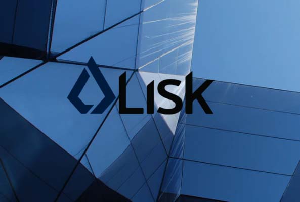 Should you invest in Lisk?