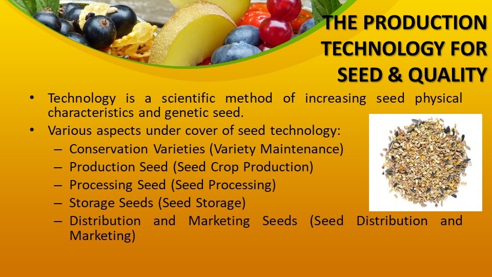 THE PRODUCTION TECHNOLOGY FOR SEED & QUALITY