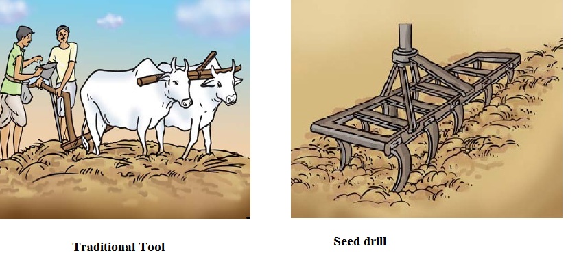 Crop Production And Management