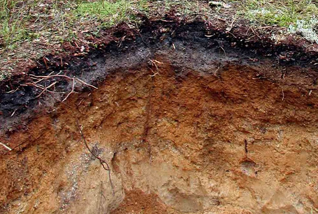 Persebaran Jenis Tanah di Indonesia - Geograpik