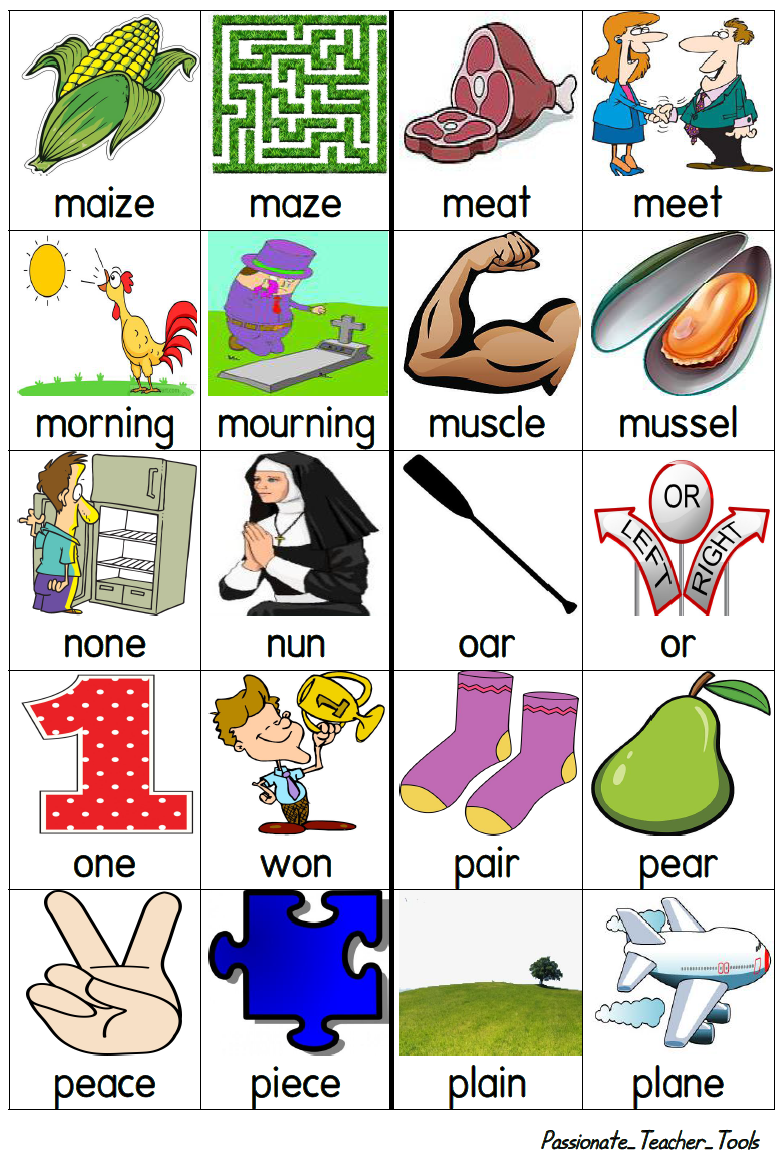 Passionate Teacher Tools: Homophones 1 (Charts & Exercises)