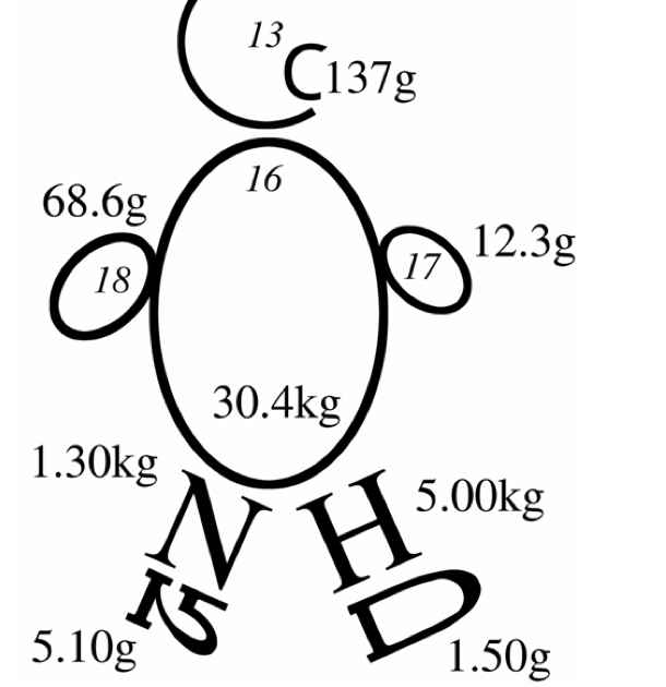 Stable Isotopes in food web studies