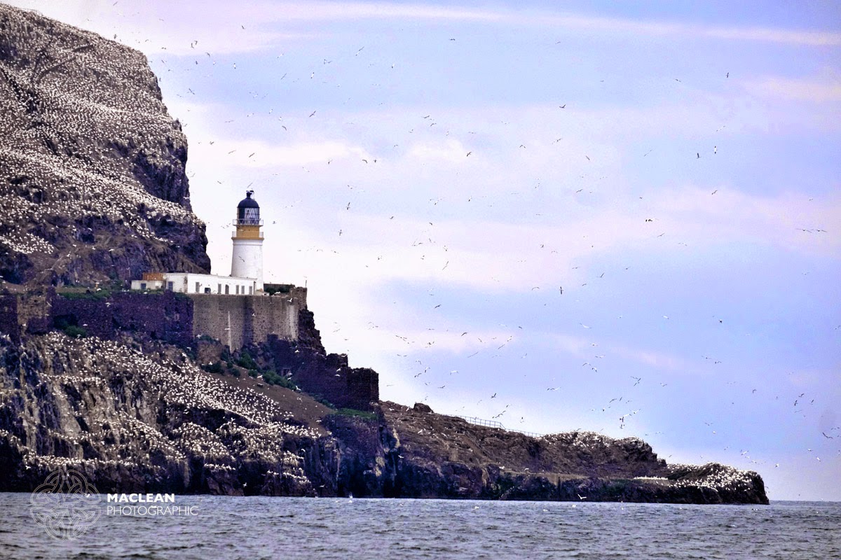 Bass Rock Lighthouse