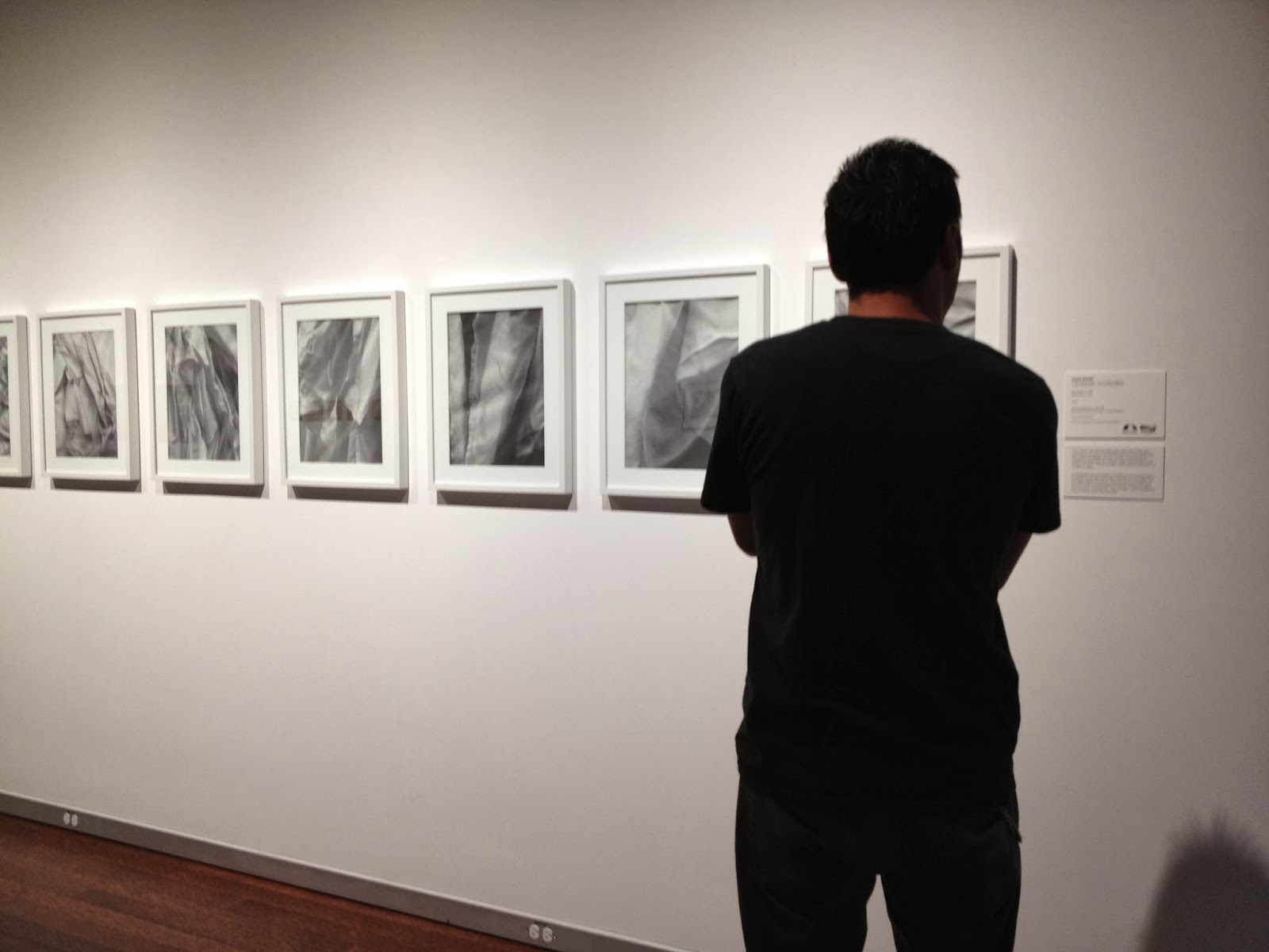 dnj gallery visitors: Suda House selected for show at new library