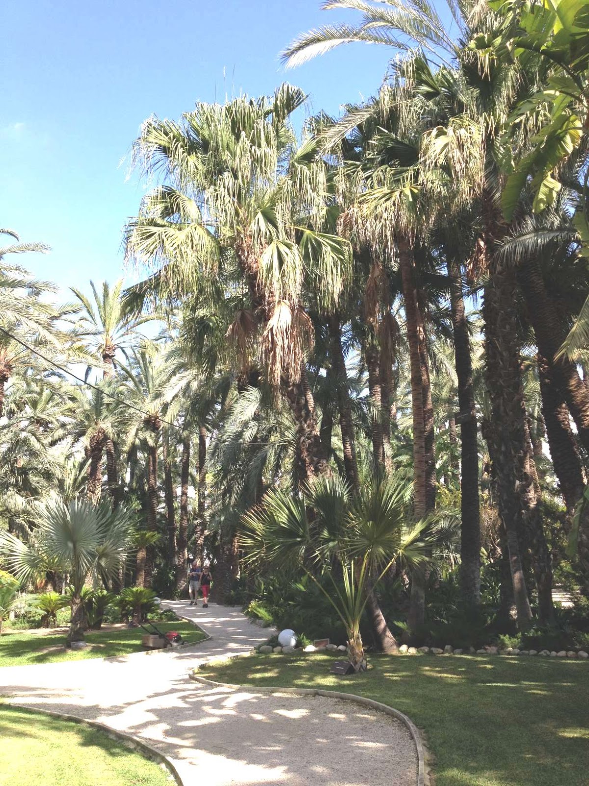 Jan en Truus......Reis Mee: Palmentuin in Elx (Elche)