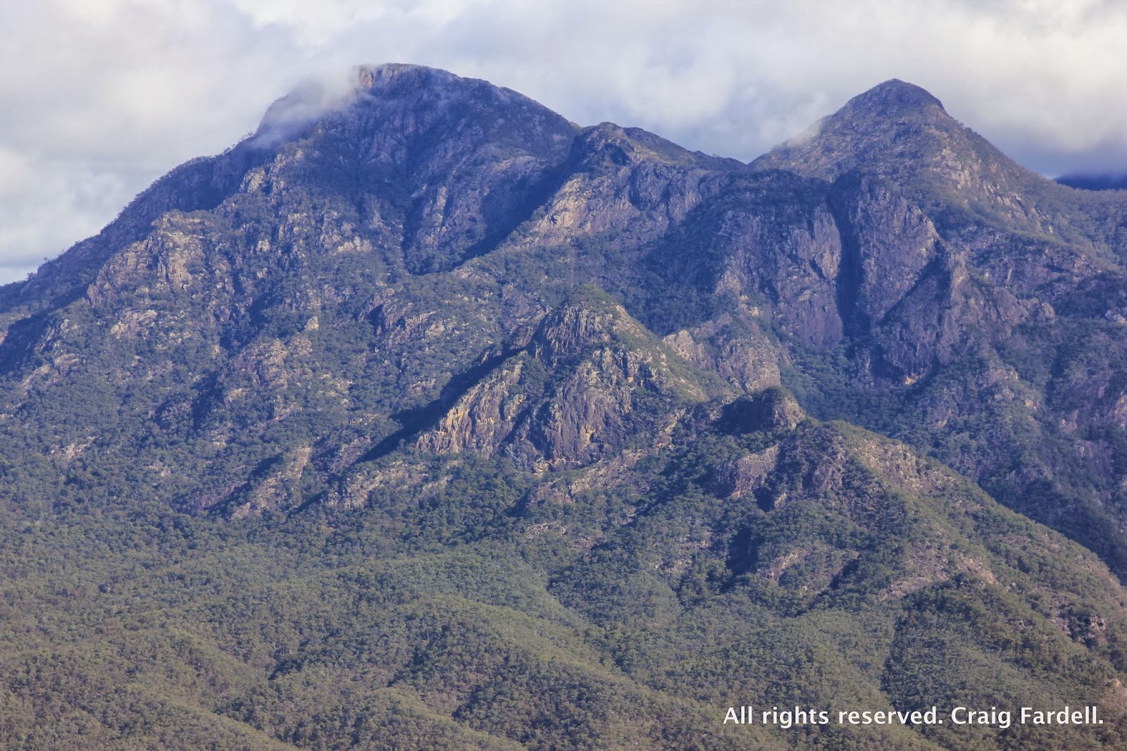 awildland: Mt Maroon - Mount Barney National Park
