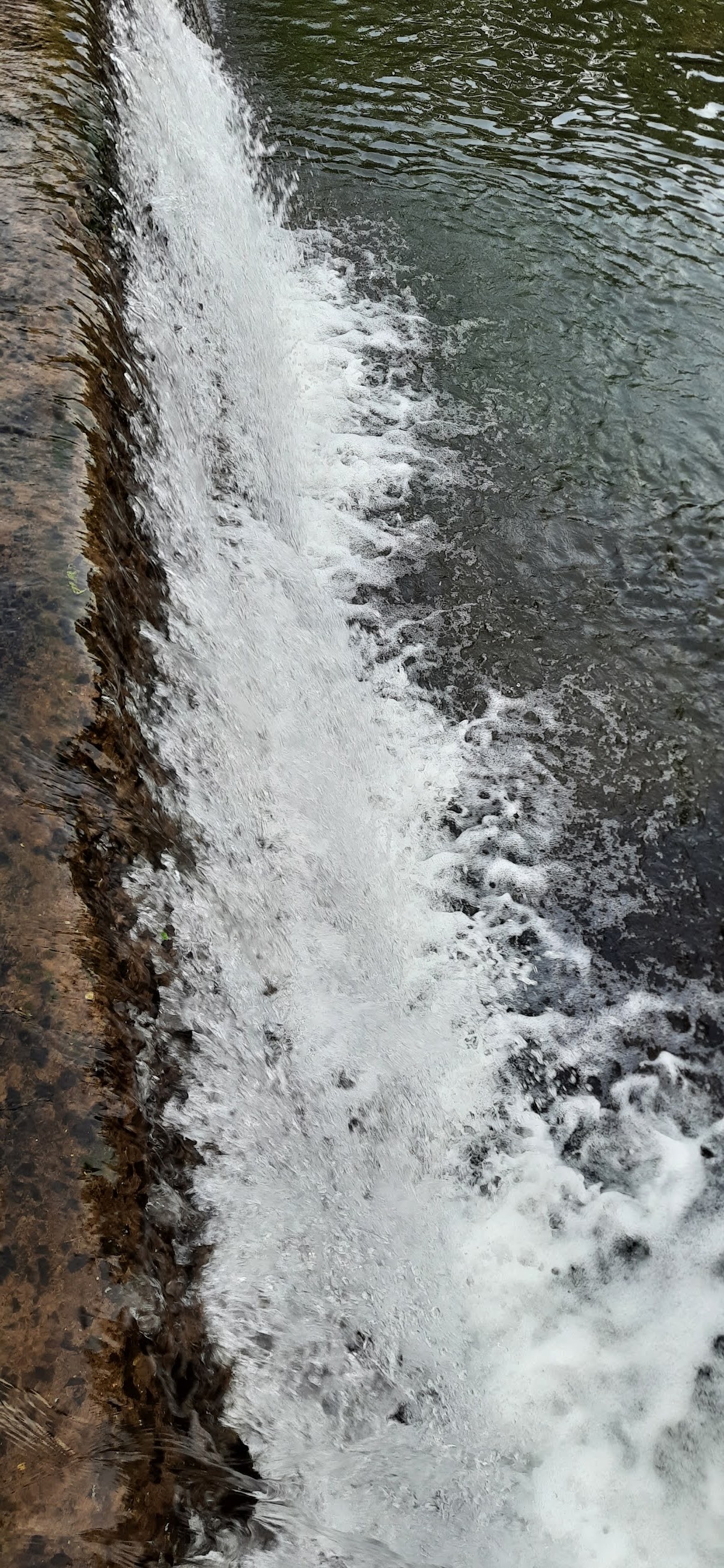 Sharad Pandhare's Educational Blog: Incredible Nature