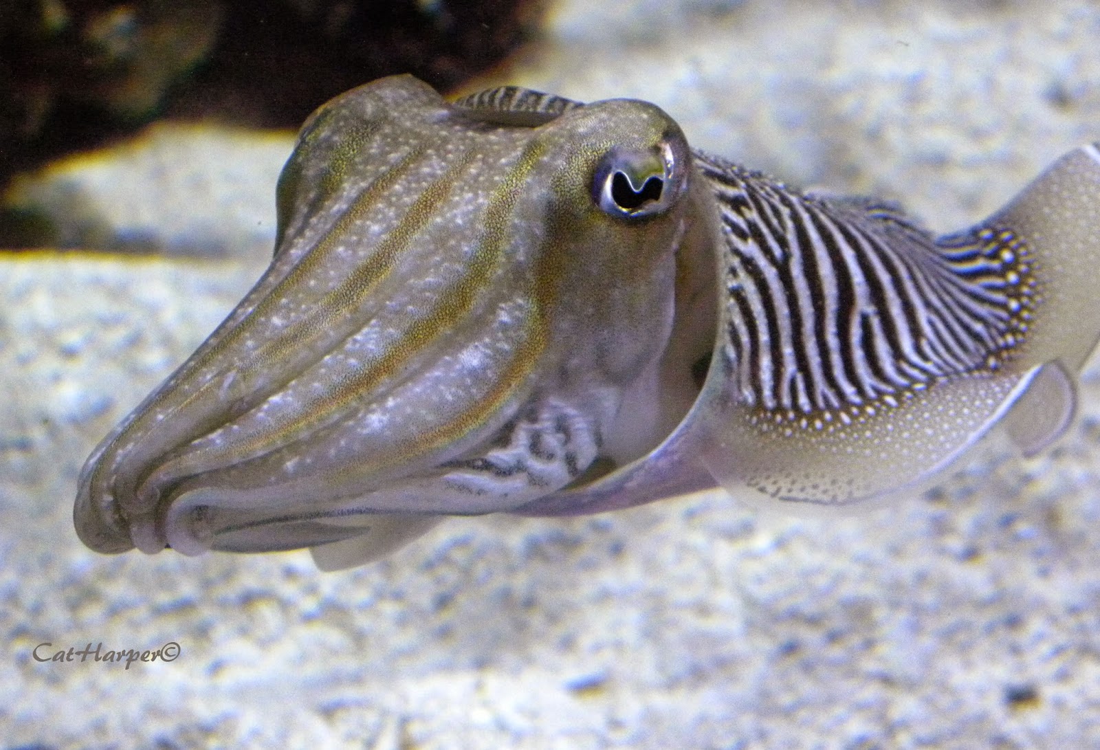 Shutterbug Traveler: September 2014