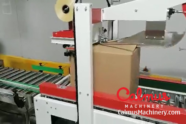 Bag in Box Forming Filling and Sealing Line for Packaging Nuts or ...