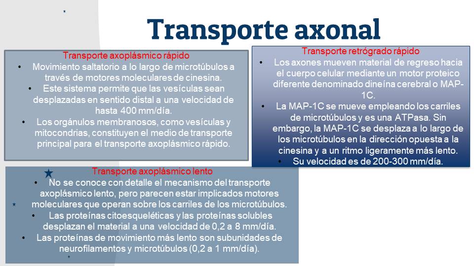 Fisiología 2020 Dr Daut / Grupo III-02: Grupo III-2. Equipo #2: Louis ...