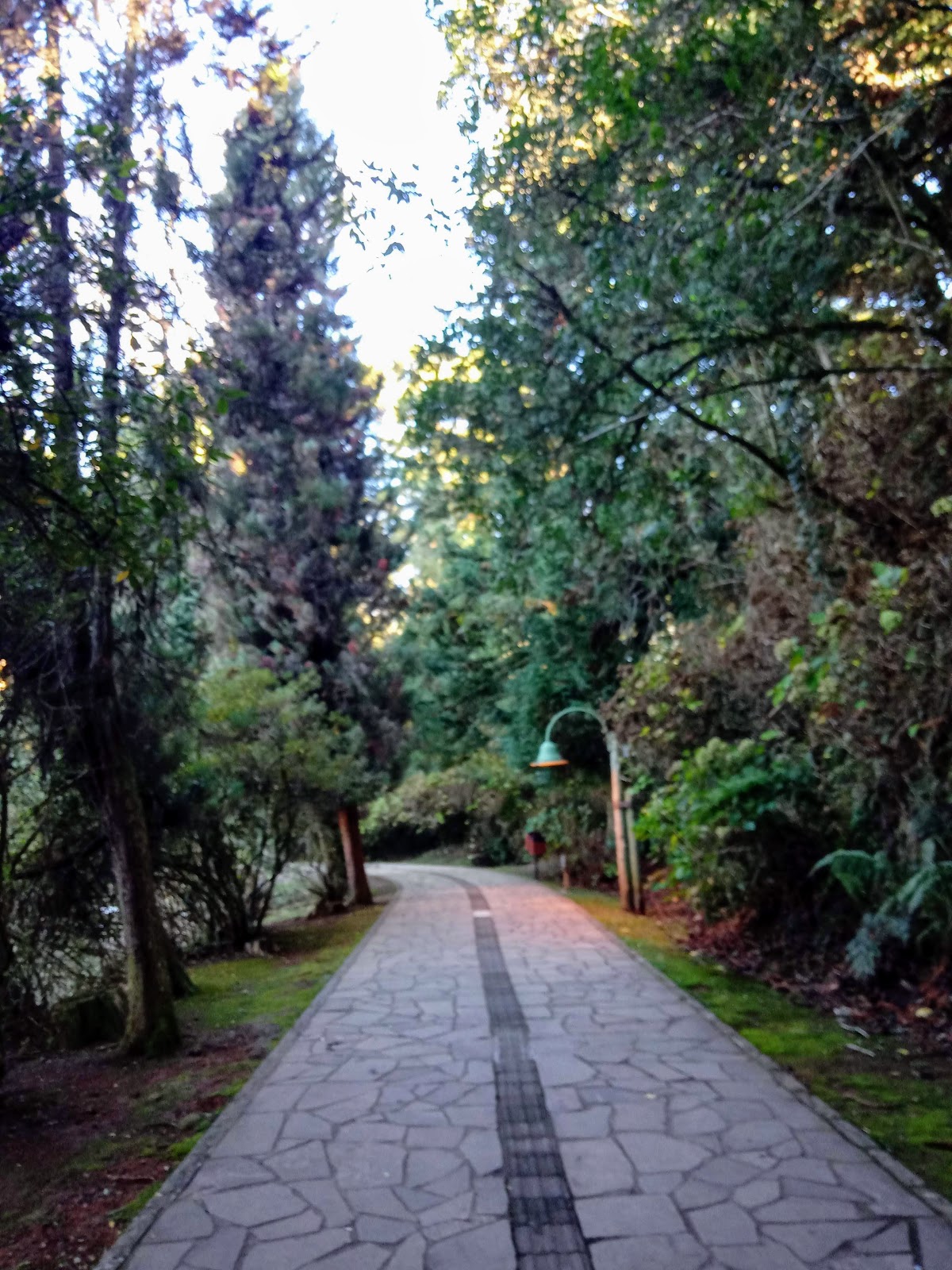 VOGLIO viagens e turismo: Gramado - um passeio pelo Lago Negro