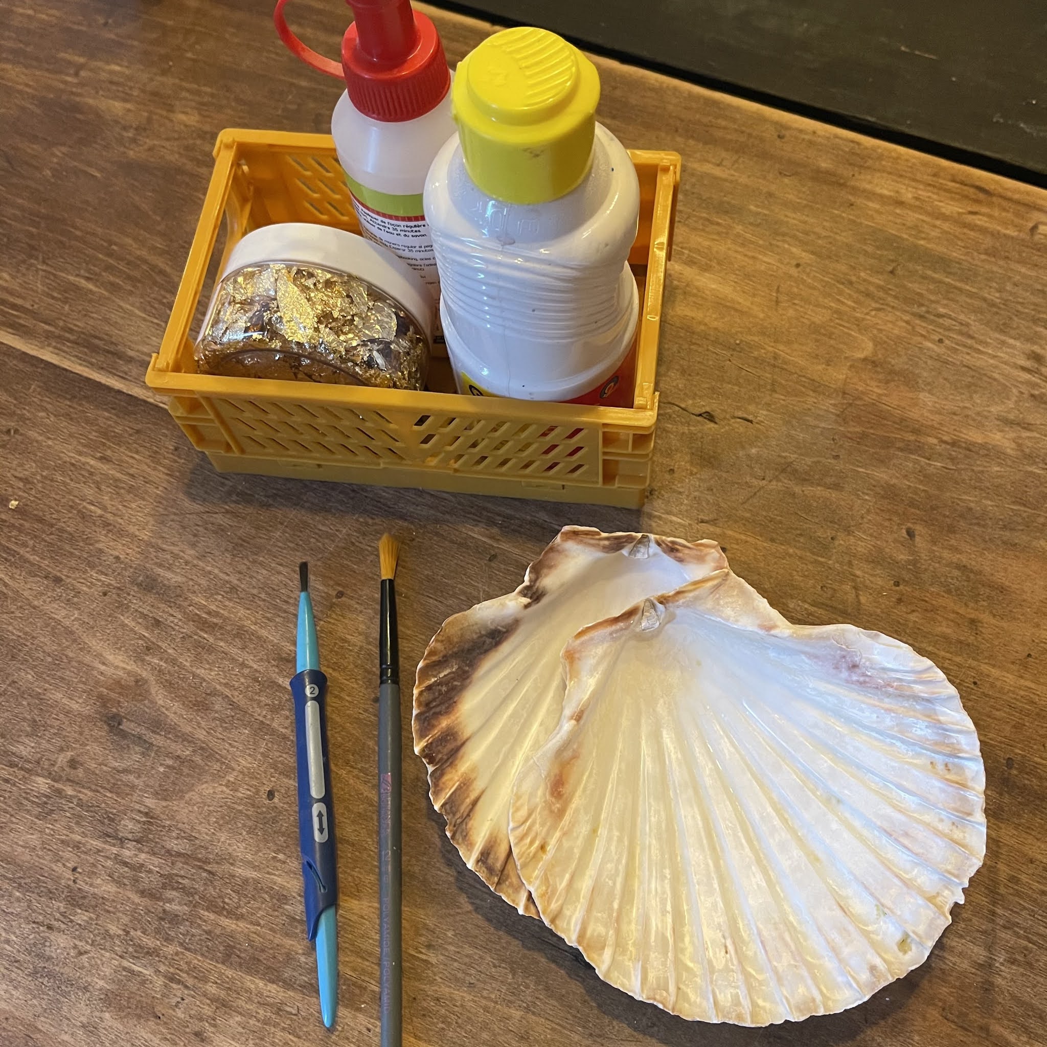 DIY #3 How to decorate scallop shells?