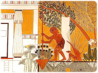 Ancient Egyptian irrigation methods | Travel | Before It's News