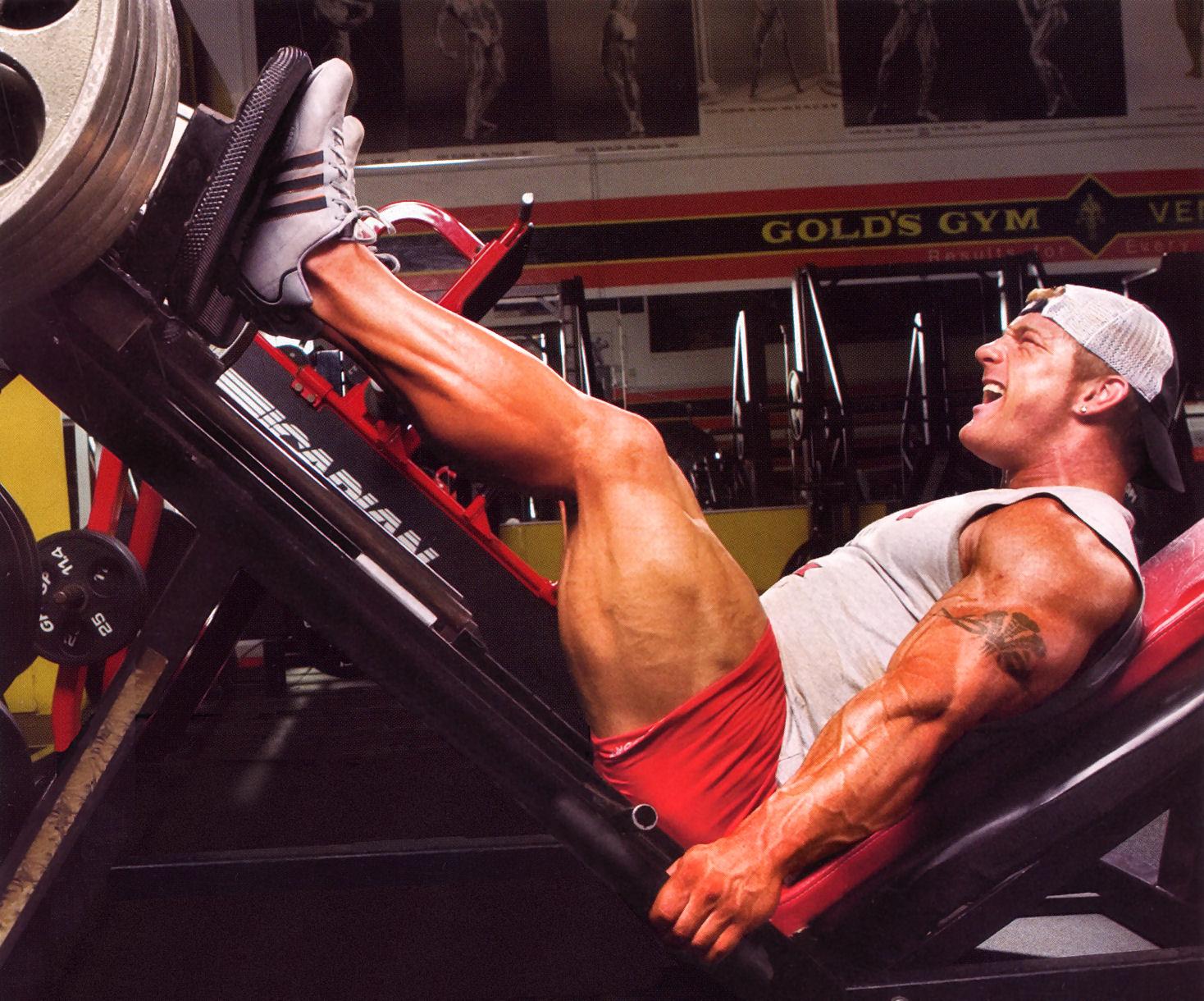 the beauty of male muscle: James