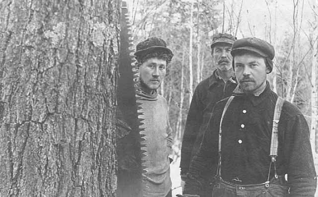 Damn Yak Dry Goods Co.: Logging Camps.