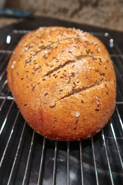 Scrumpdillyicious: Caraway Rye Bread: A Siver Palate Original