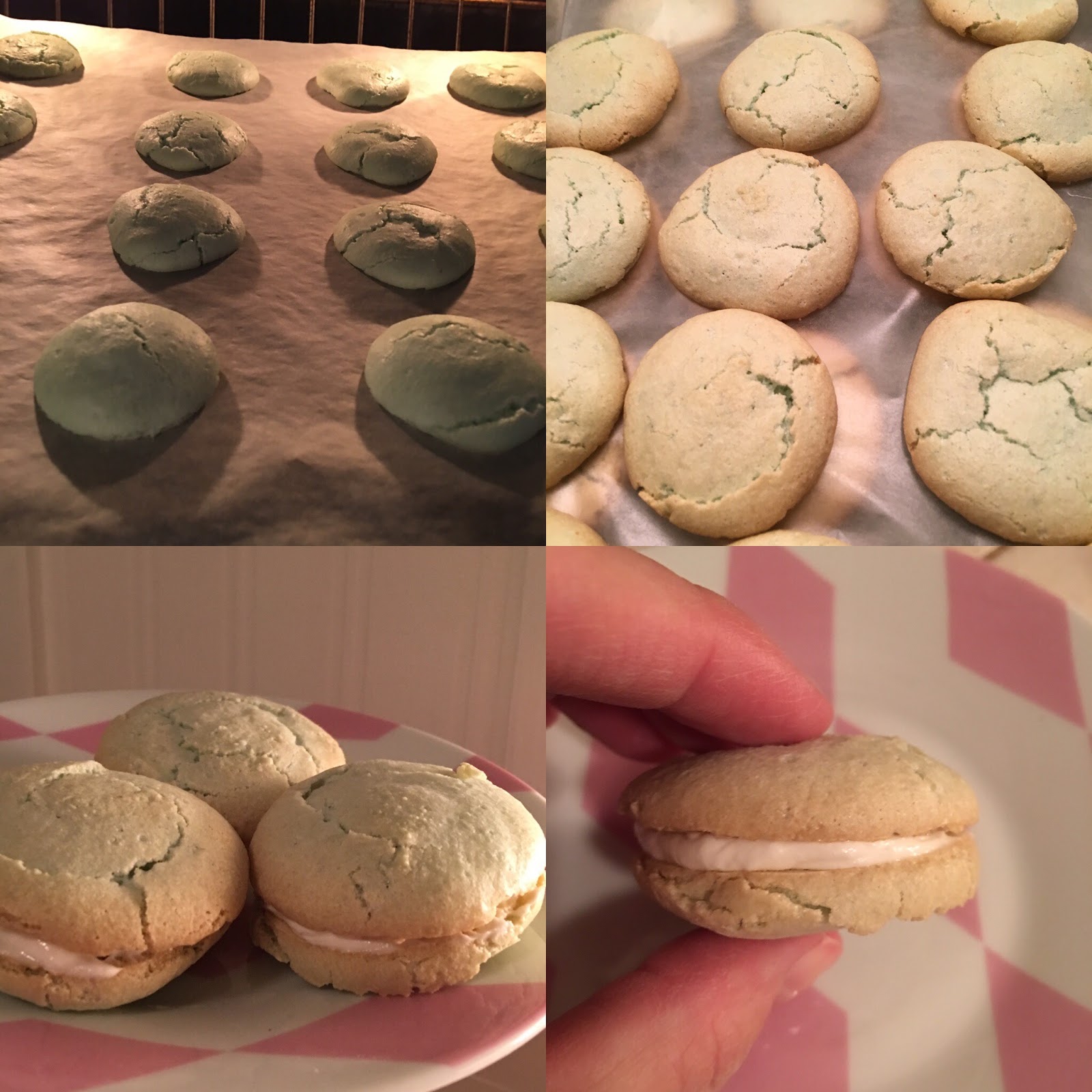 Jungle Red Writers: She Persisted...Relax, We're Talking Macarons!