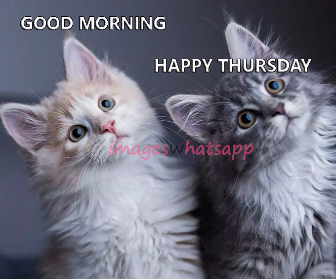 BEST THURSDAY MORNING PHOTOS FOR WHATSAPP AND FACEBOOK