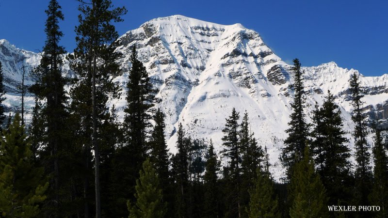 Skiing The Mount Patterson Couloir - Global Alpine