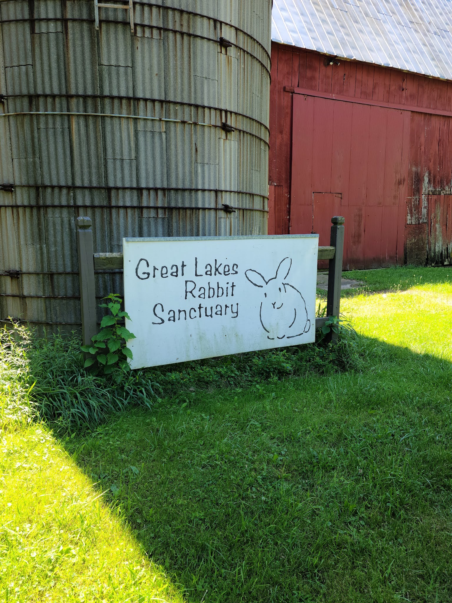 Hip In Detroit: Some Bunny Is Waiting For you at Great Lakes Rabbit ...