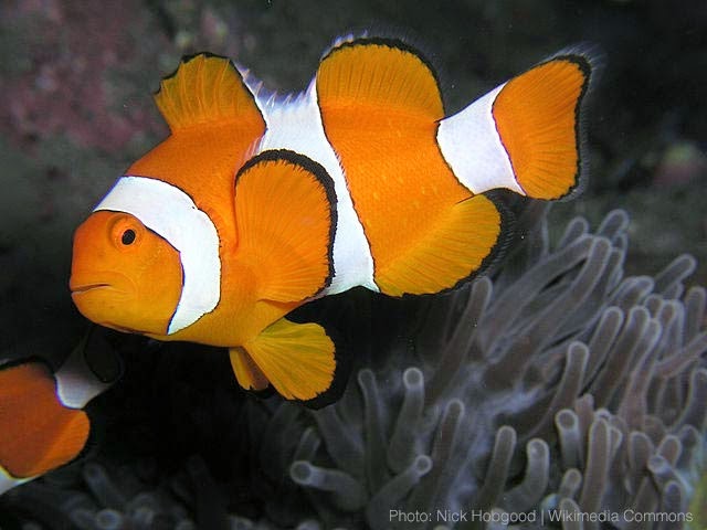 Exhibit Galleries Blog